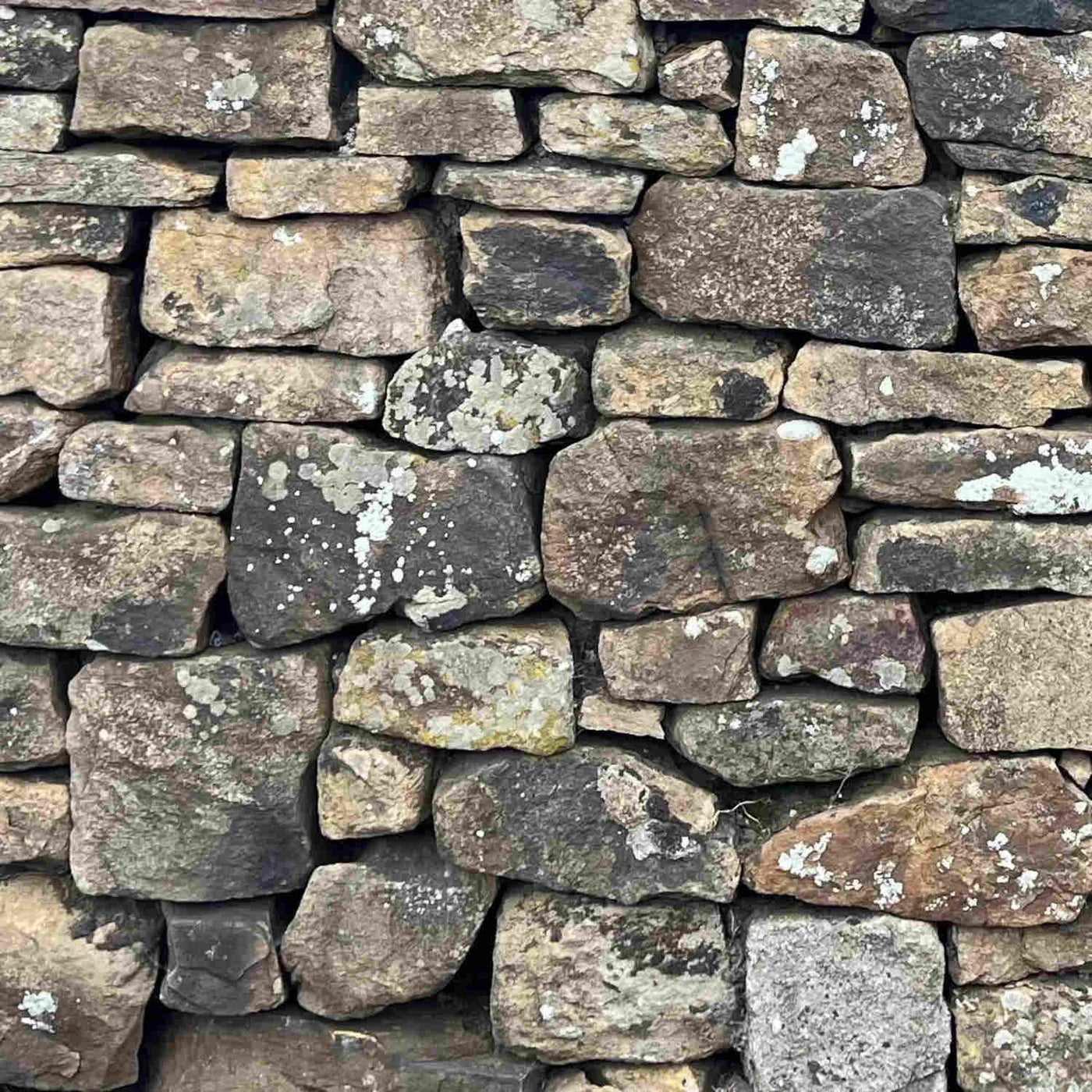 Reclaimed Walling Stone | Natural Dry Stone Walling – Britannia Stone